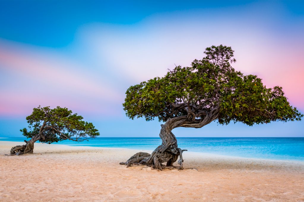 Sustainably Sourced – ArubaWater